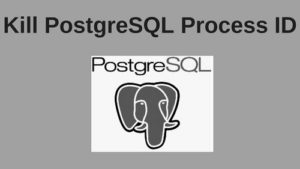 SHOW FULL PROCESSLIST in PostgreSQL | josuamarcelc